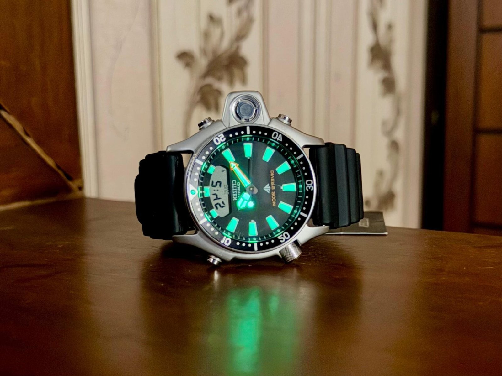 Citizen Promaster JP2000-08E Japan Mens Daim Traders
