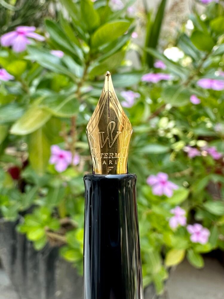 Waterman Hemisphere GT France Fountain pen Daim Traders